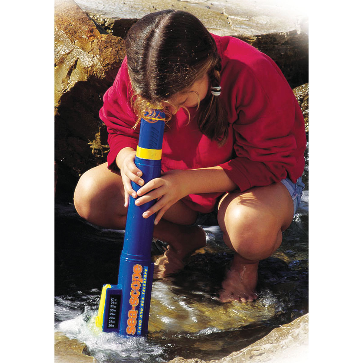 Seascope | Exploring Nature | Mulberry Bush