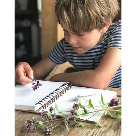 Nature Kits For Kids - Mulberry Bush