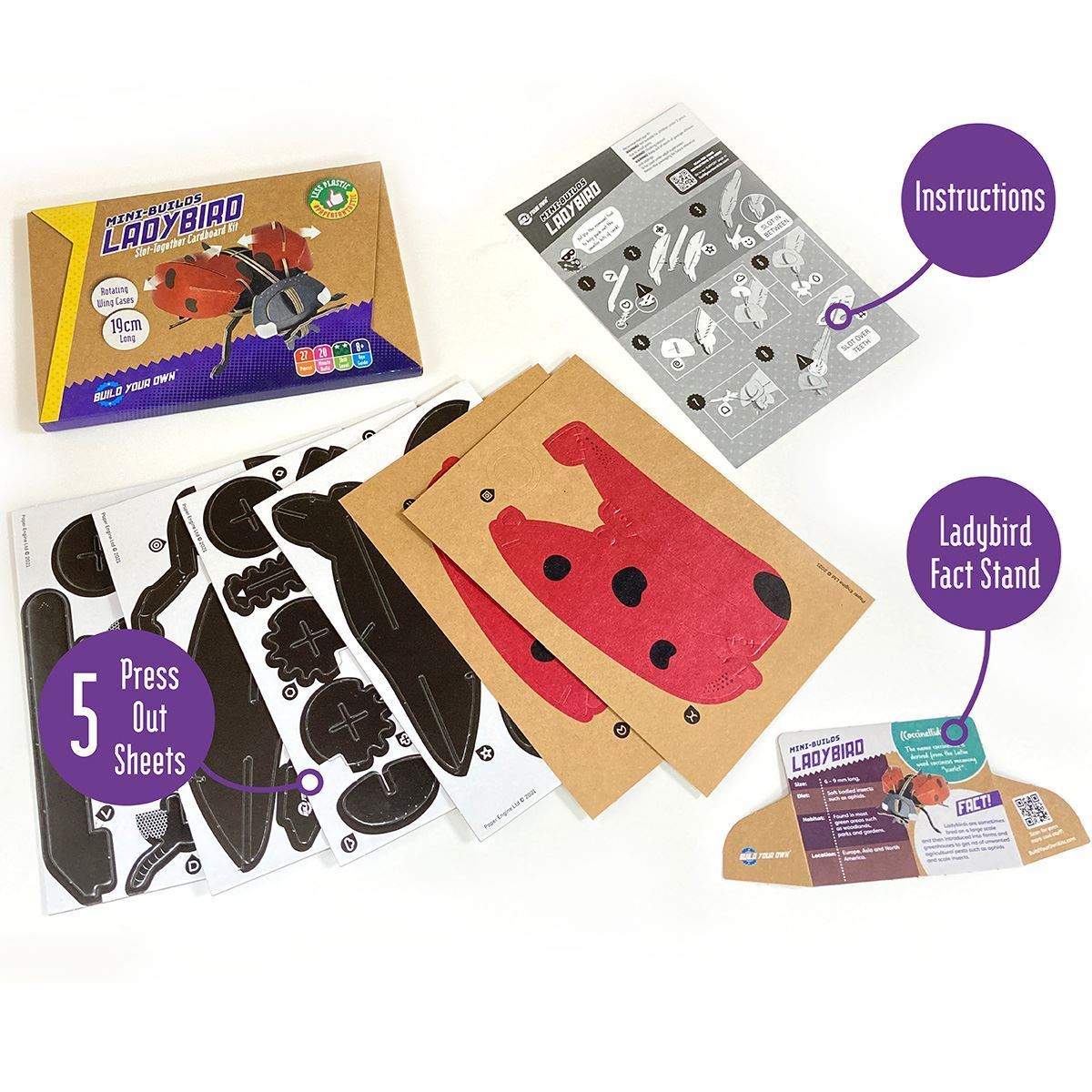 Build Your Own Ladybird Kit | Paper Engine | Make & Do