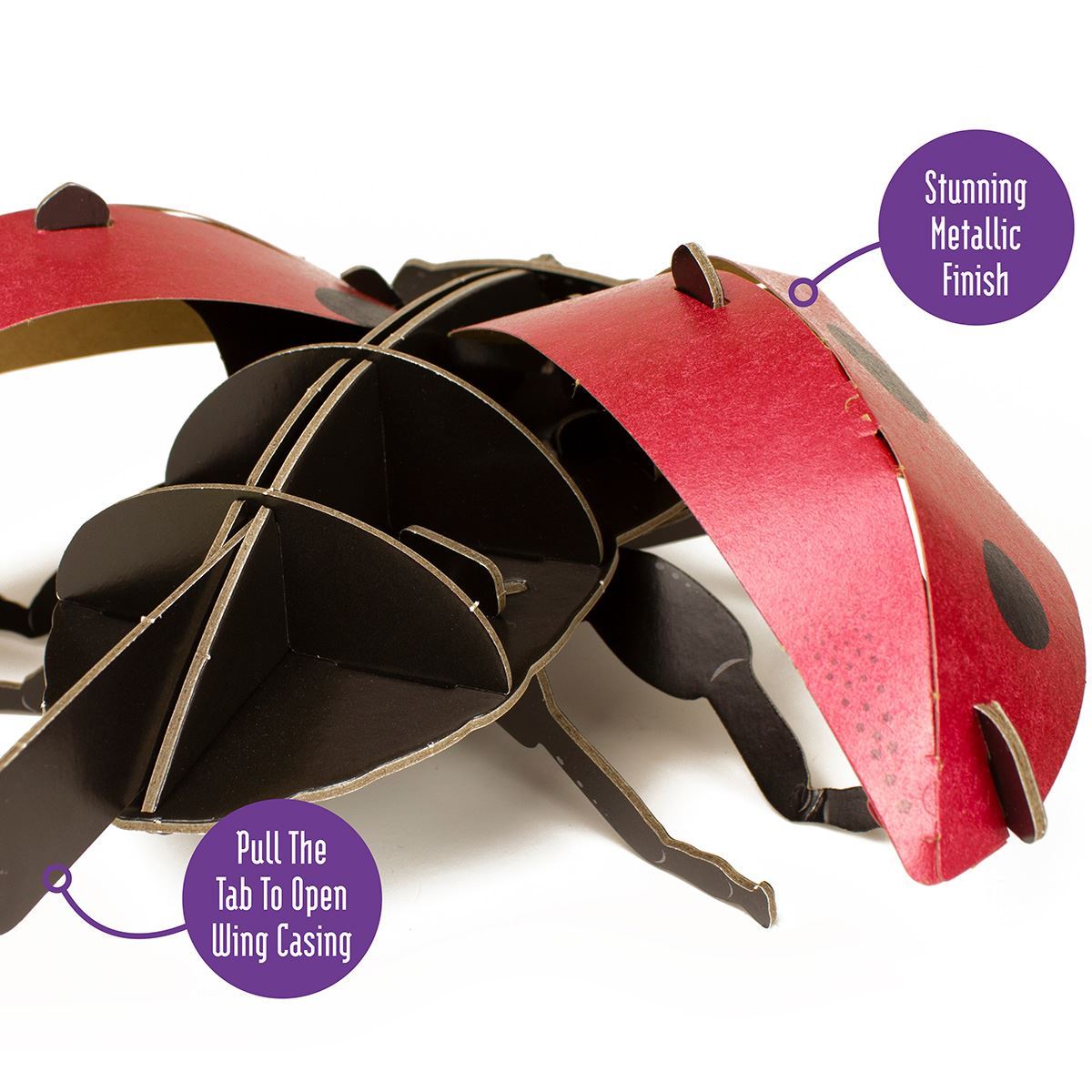 Build Your Own Ladybird Kit | Paper Engine | Make & Do