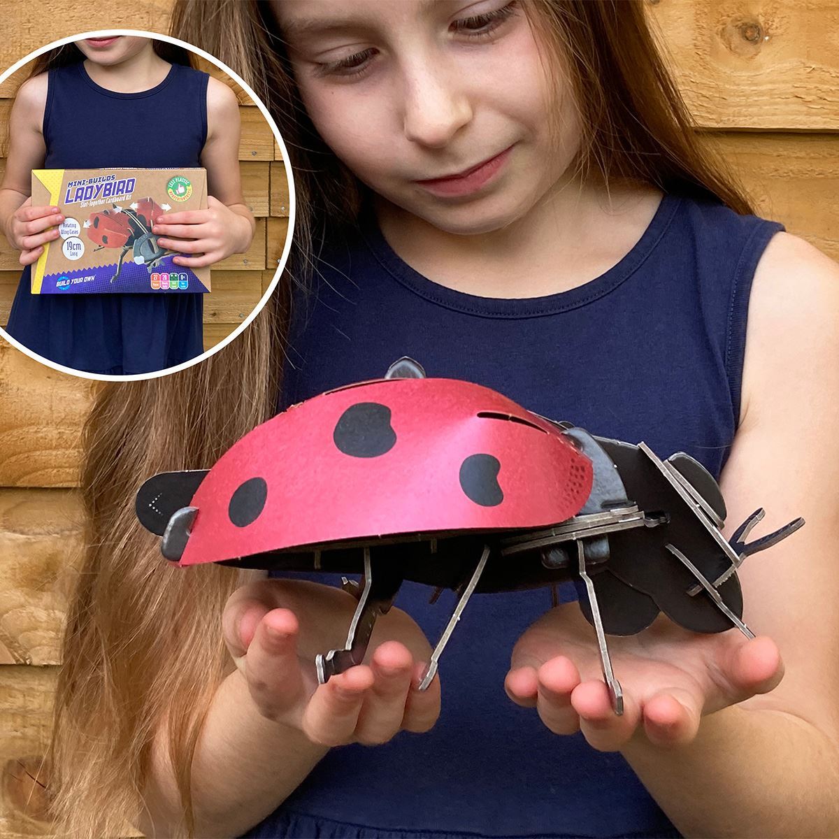 Build Your Own Ladybird Kit | Paper Engine | Make & Do