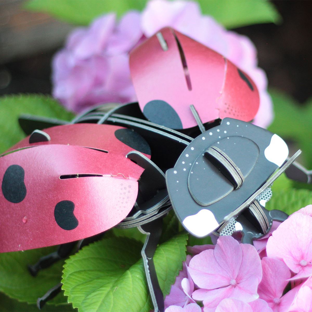 Build Your Own Ladybird Kit | Paper Engine | Make & Do