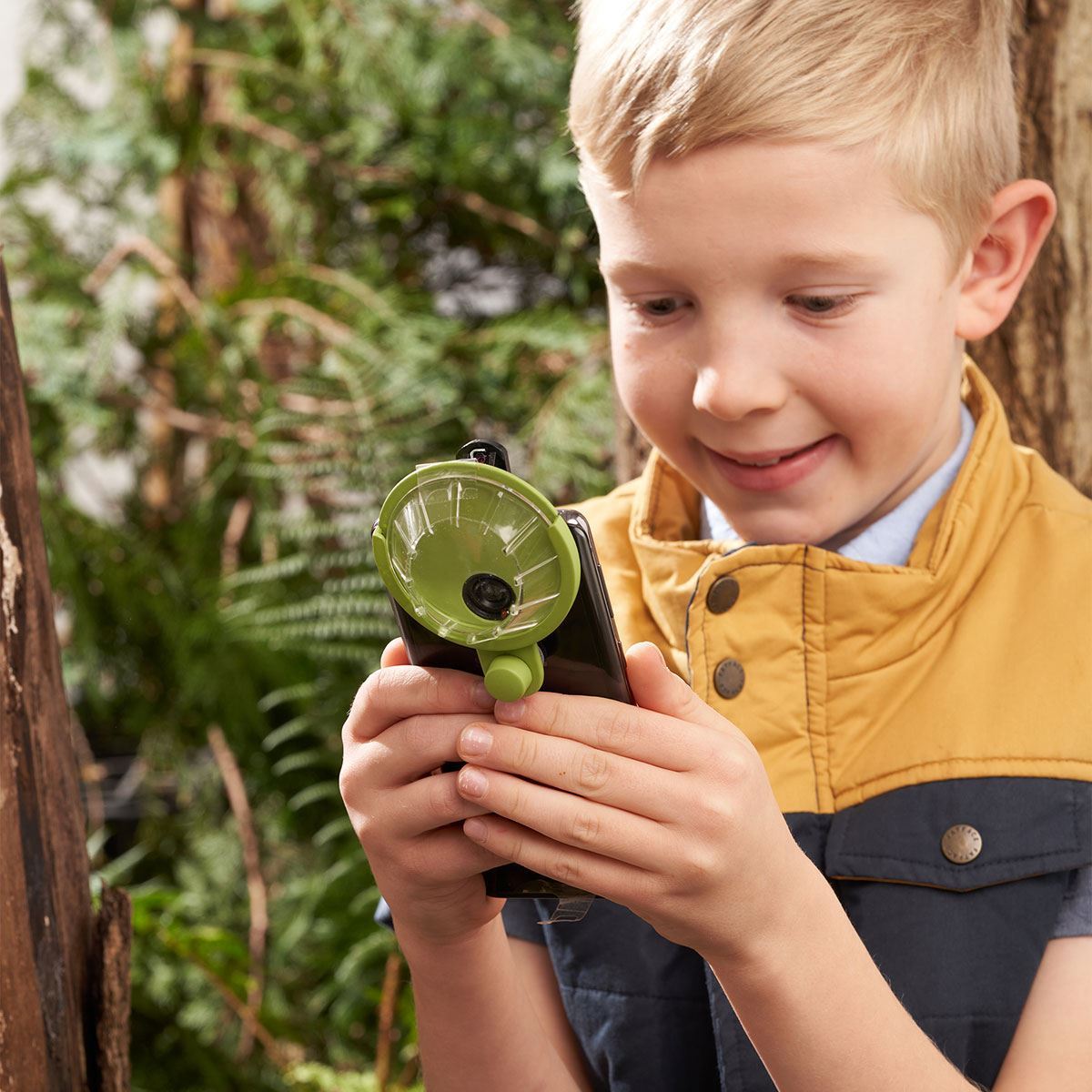 Bug Photography | Exploring Nature | Mulberry Bush